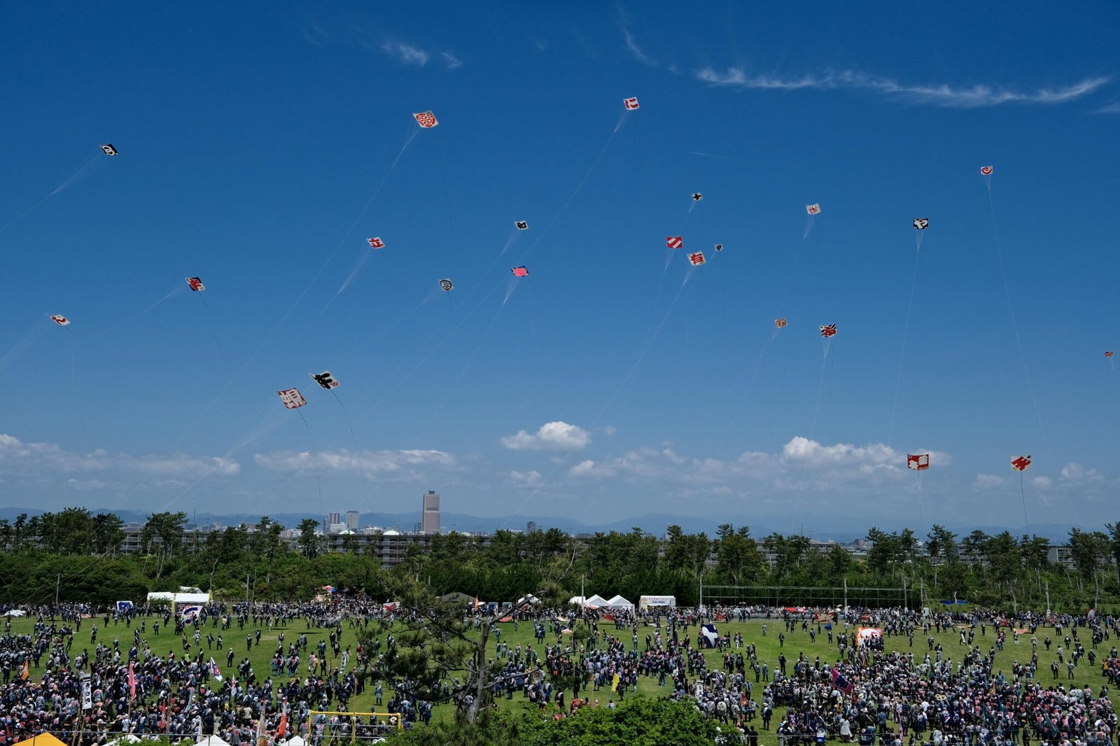 Kite Federation Of India – Kite Federation Of India